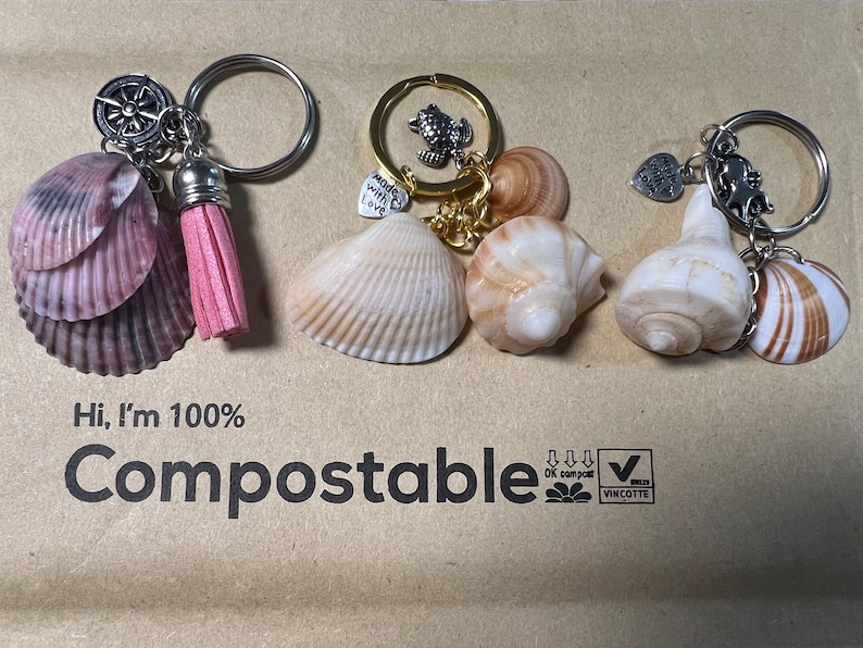 Seashell Keychains With a Cause - Etsy