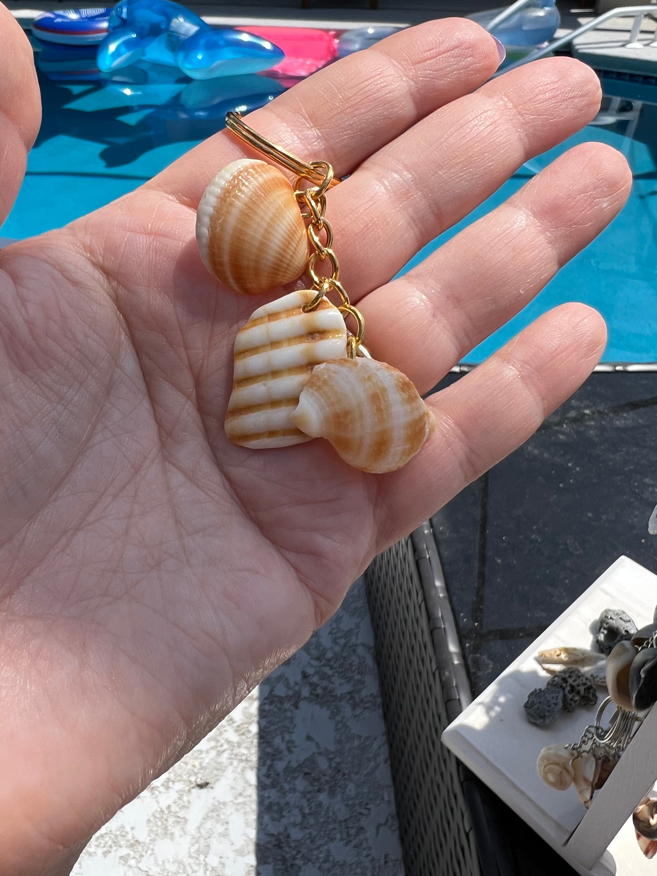 Seashell Keychains With a Cause - Etsy