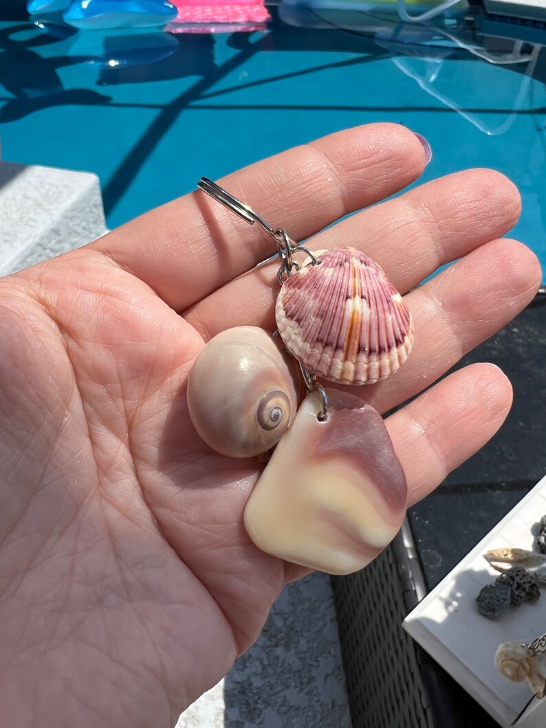 Seashell Keychains With a Cause - Etsy