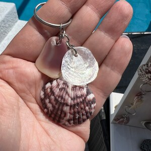 Seashell Keychains With a Cause - Etsy