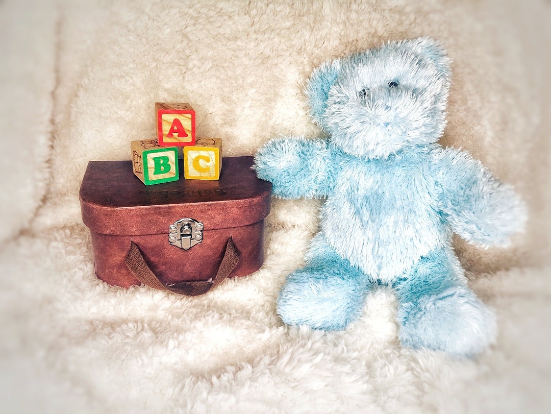 Bluey the Teddy Bear Plush Toy Plushies Anxiety Toy Adopt - Etsy