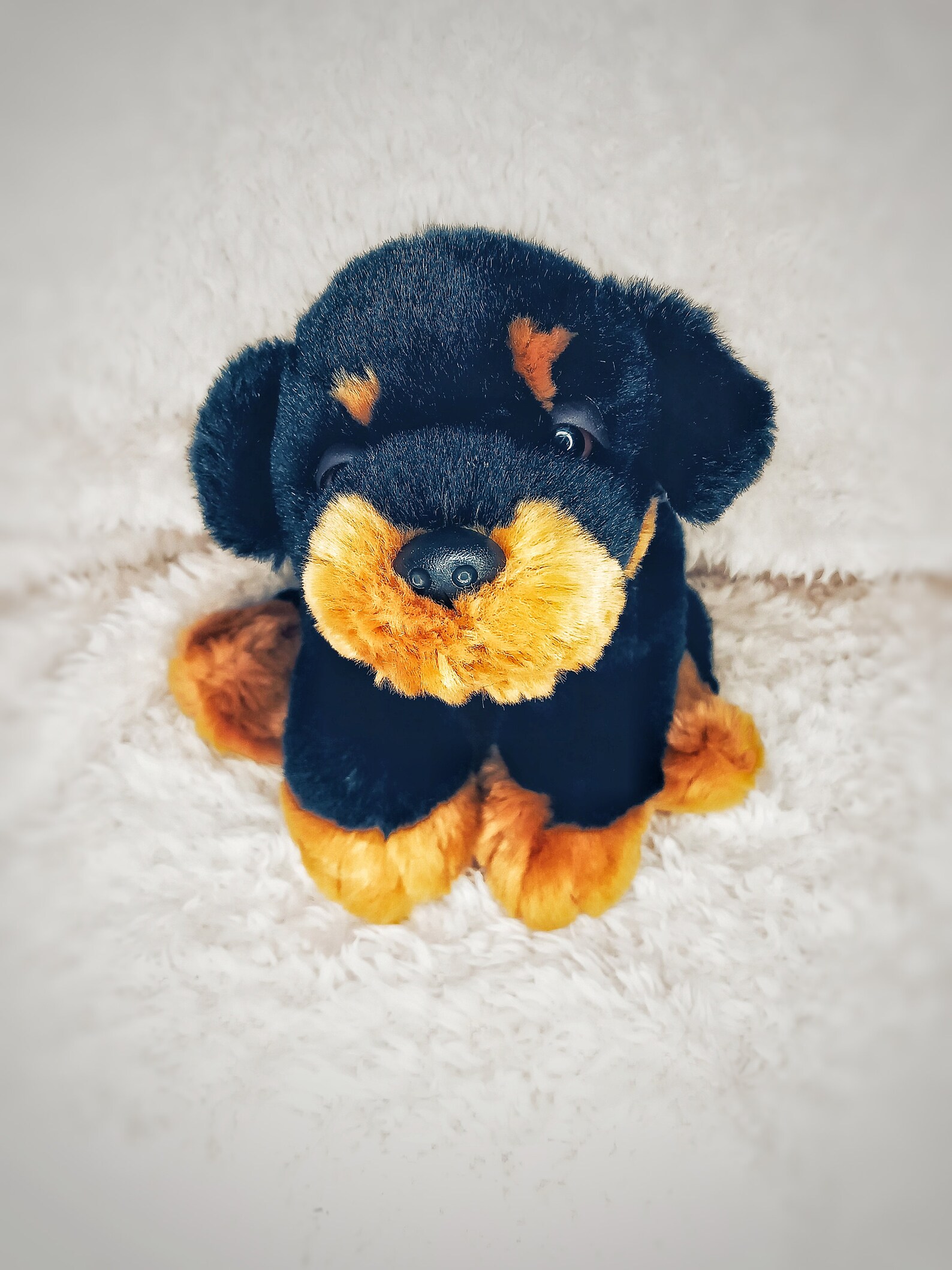Roger the Dog Teddy Bear, Plush Toy, Plushies, Anxiety Toy, Adopt A ...