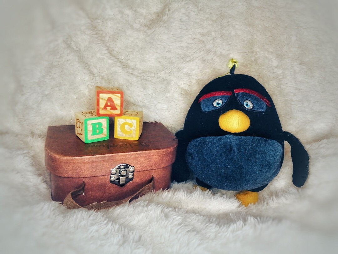 Grayson the Angry Bird Teddy Bear Plush Toy - Etsy UK