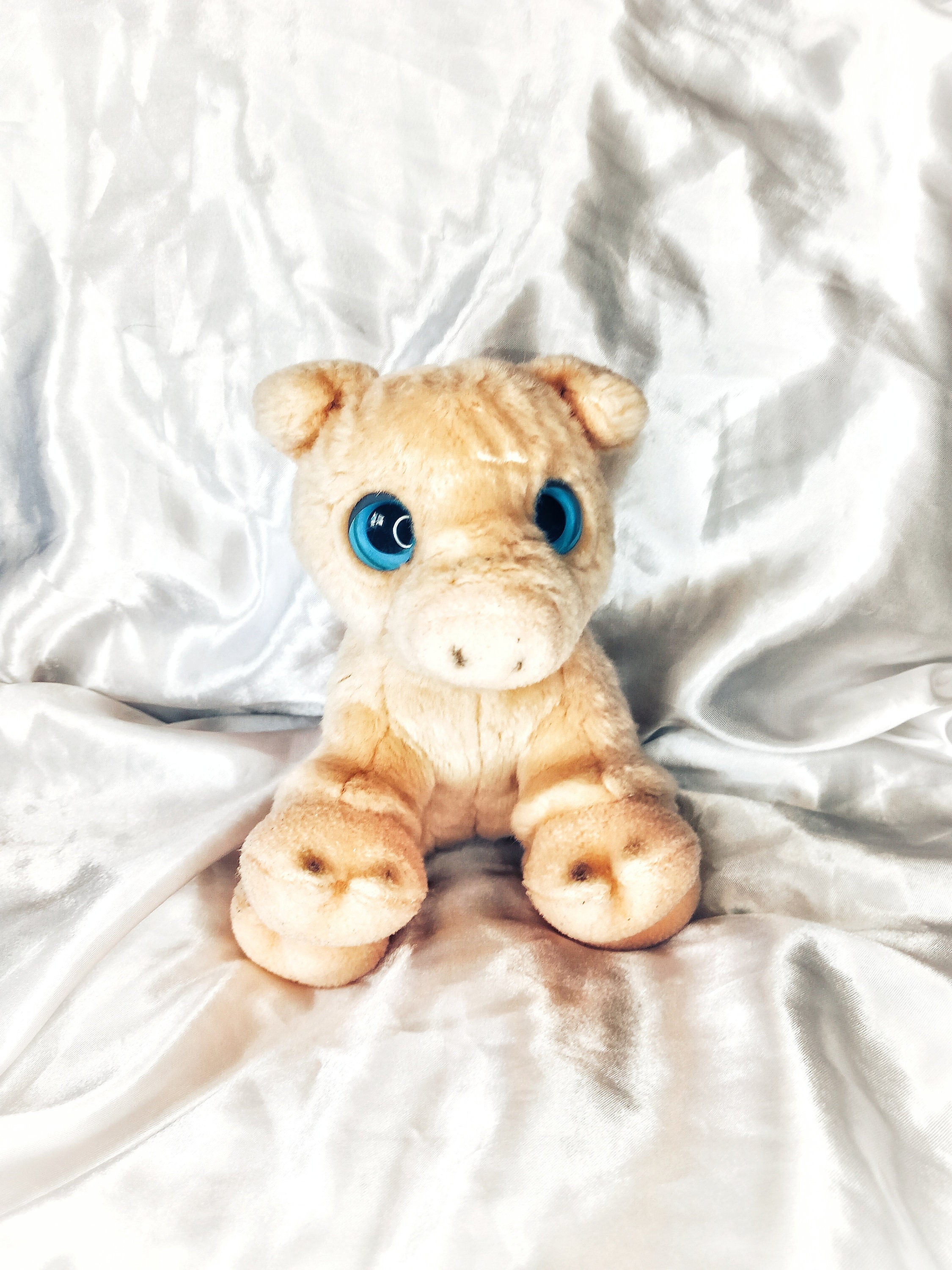 Percy the Pig Teddy Bear, Plush Toy, Plushies, Anxiety Toy, Adopt A ...