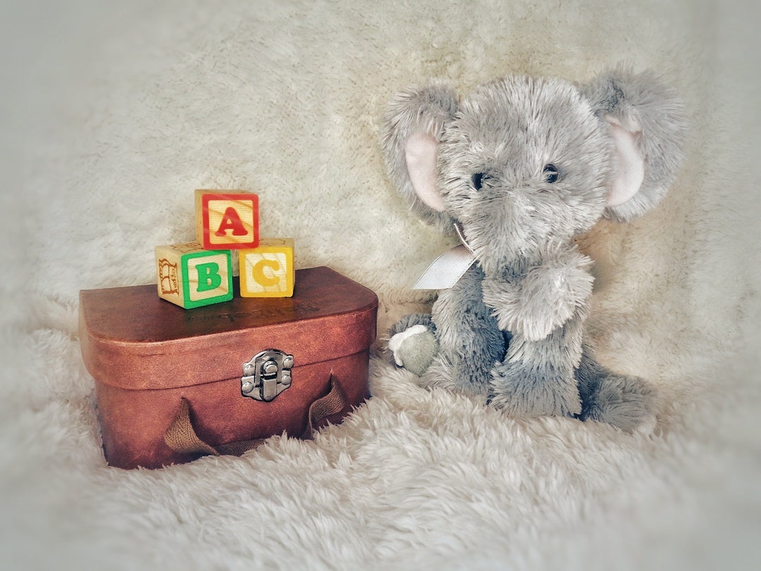 Layla the Elephant Teddy Bear, Plush Toy, Plushies, Anxiety Toy, Adopt ...