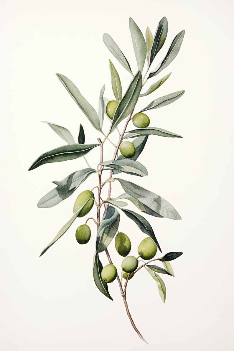 Olive Branch Art, Kitchen Wall Art, Olive Branch Painting, Green Olive ...
