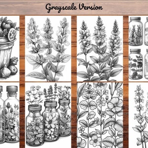 Herbalism Coloring Pages for Adults and for Kids - 23 Grayscale & Light ...