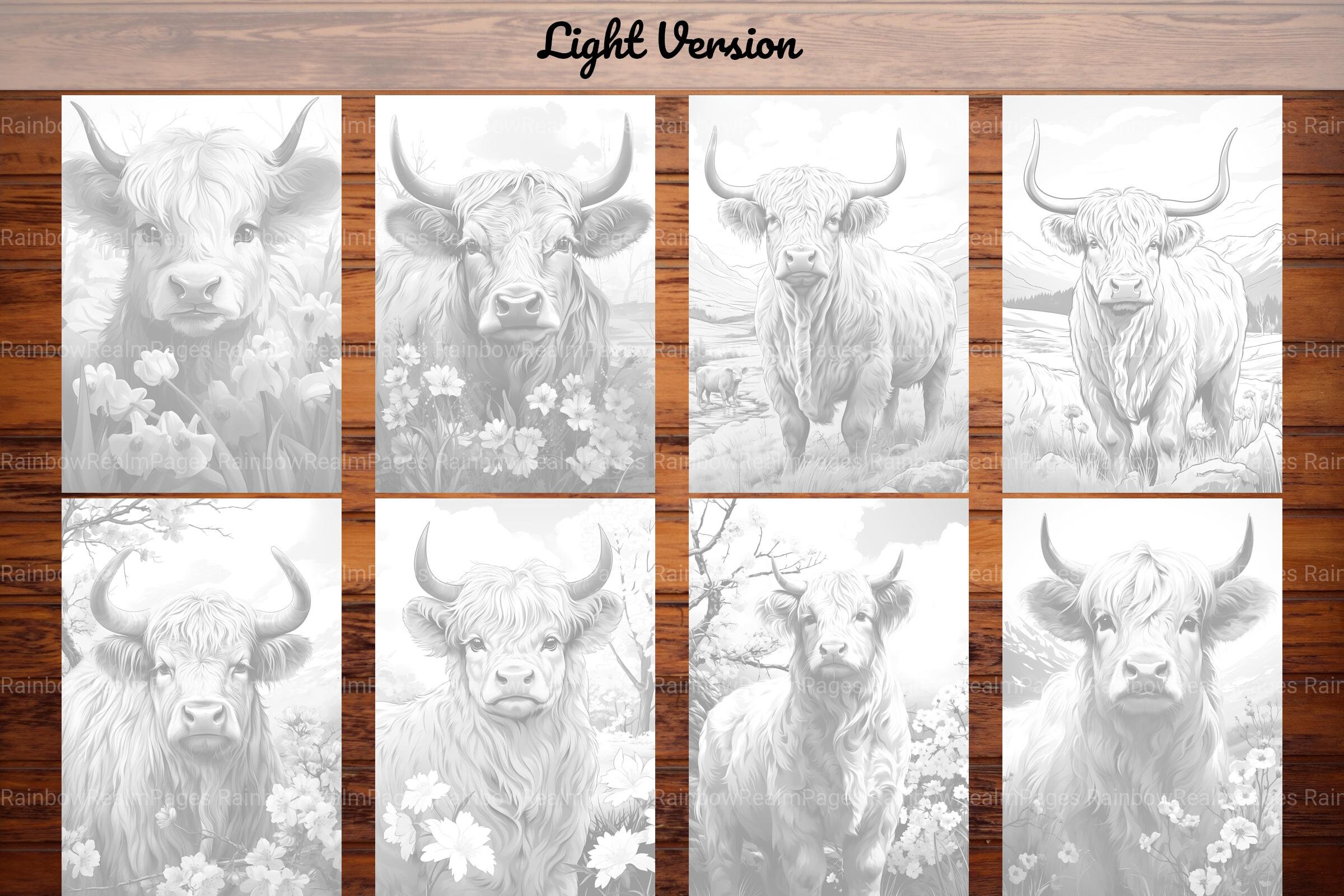 Highland Cow Spring Coloring Pages for Adults and Kids 61 Spring ...