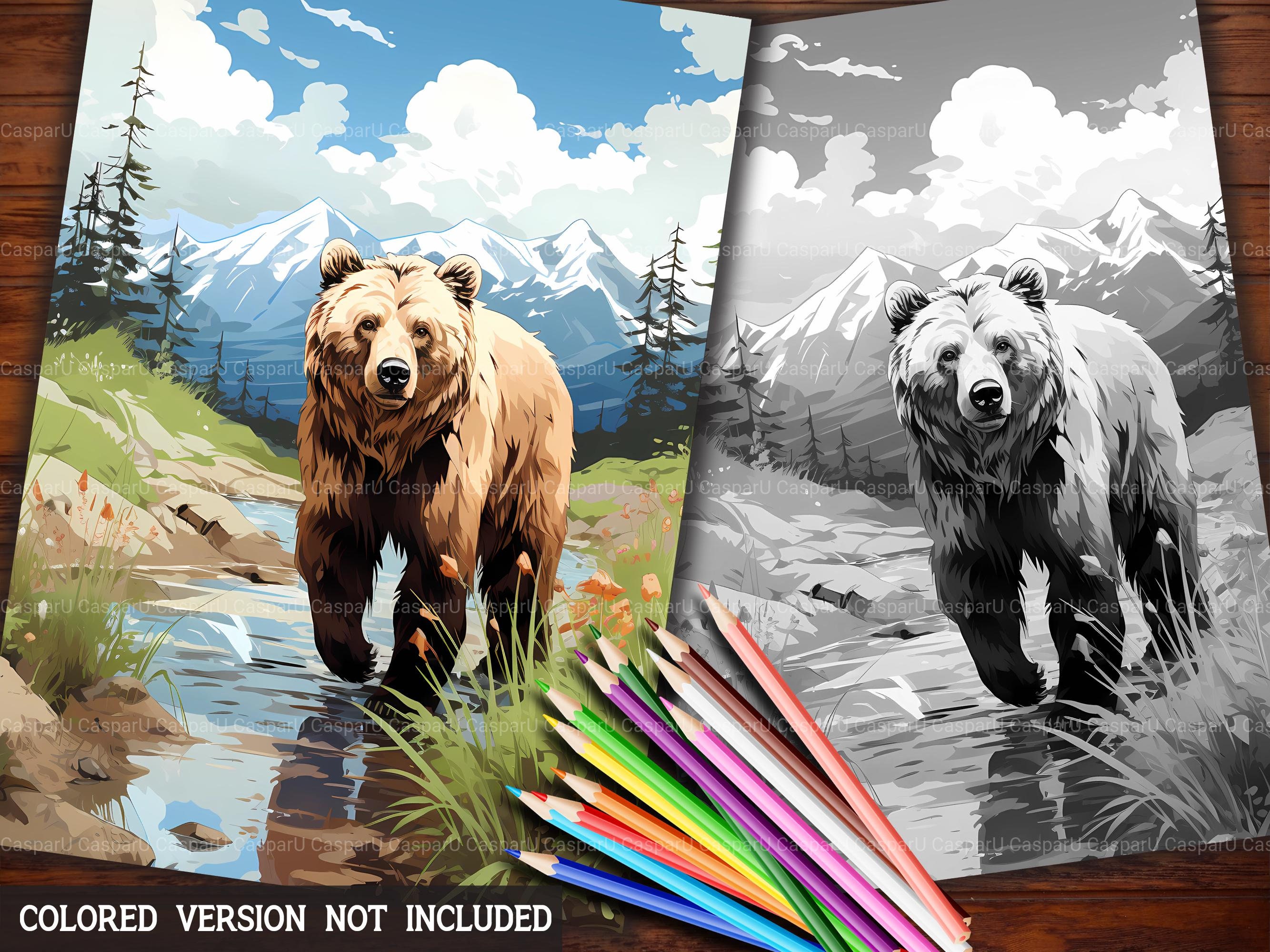 Alaska Travel Coloring Pages for Adults and Kids 21 Geography Grayscale ...