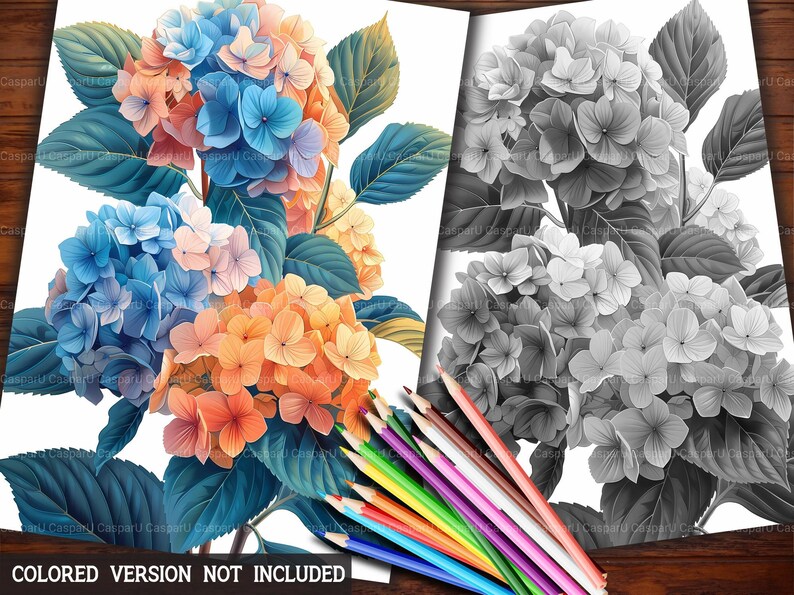 Flower Hydrangeas Coloring Pages 81 Grayscale & Light Printable Pdfs ...