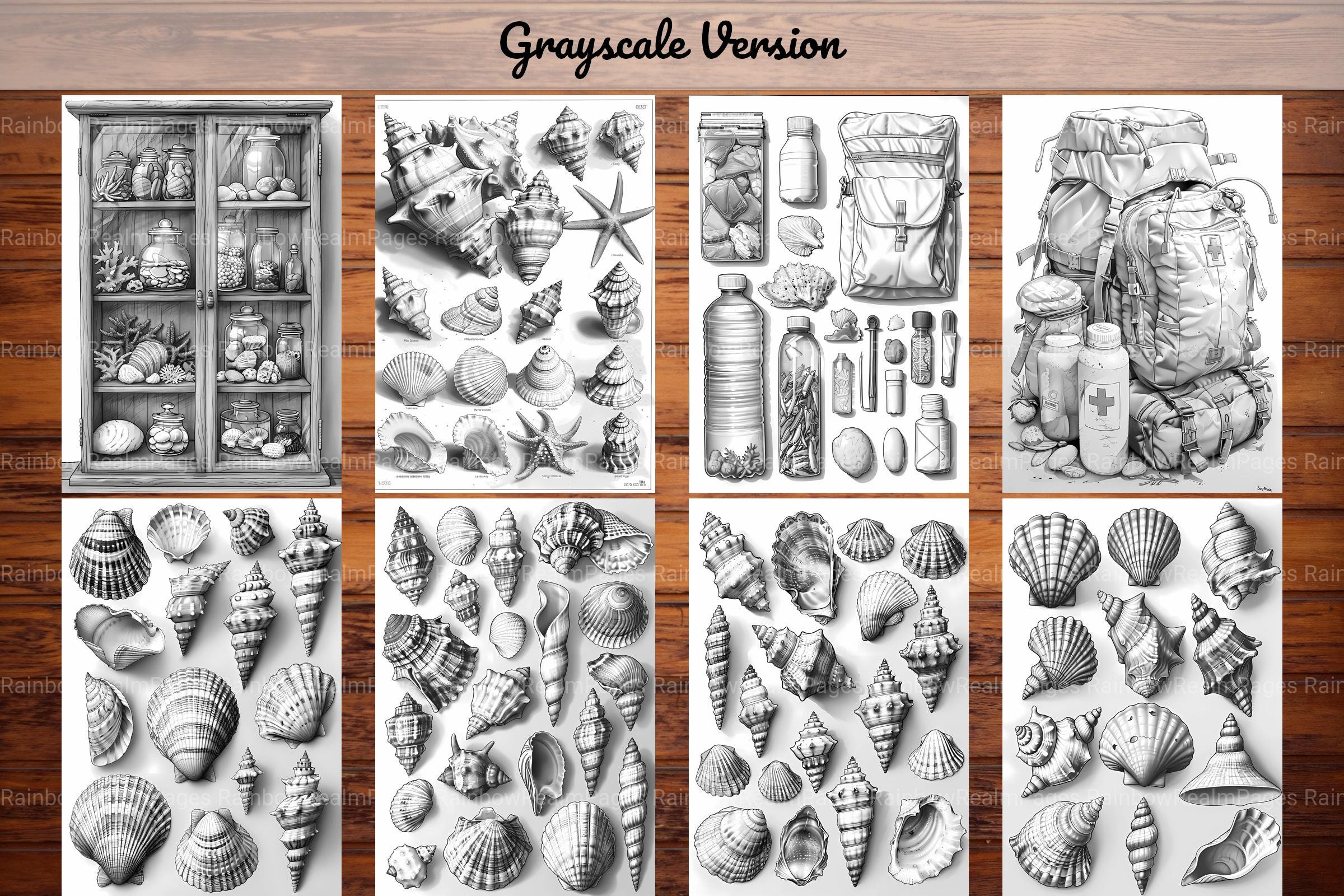 Beachcombing Coloring Pages for Adults and for Kids - 38 Grayscale ...