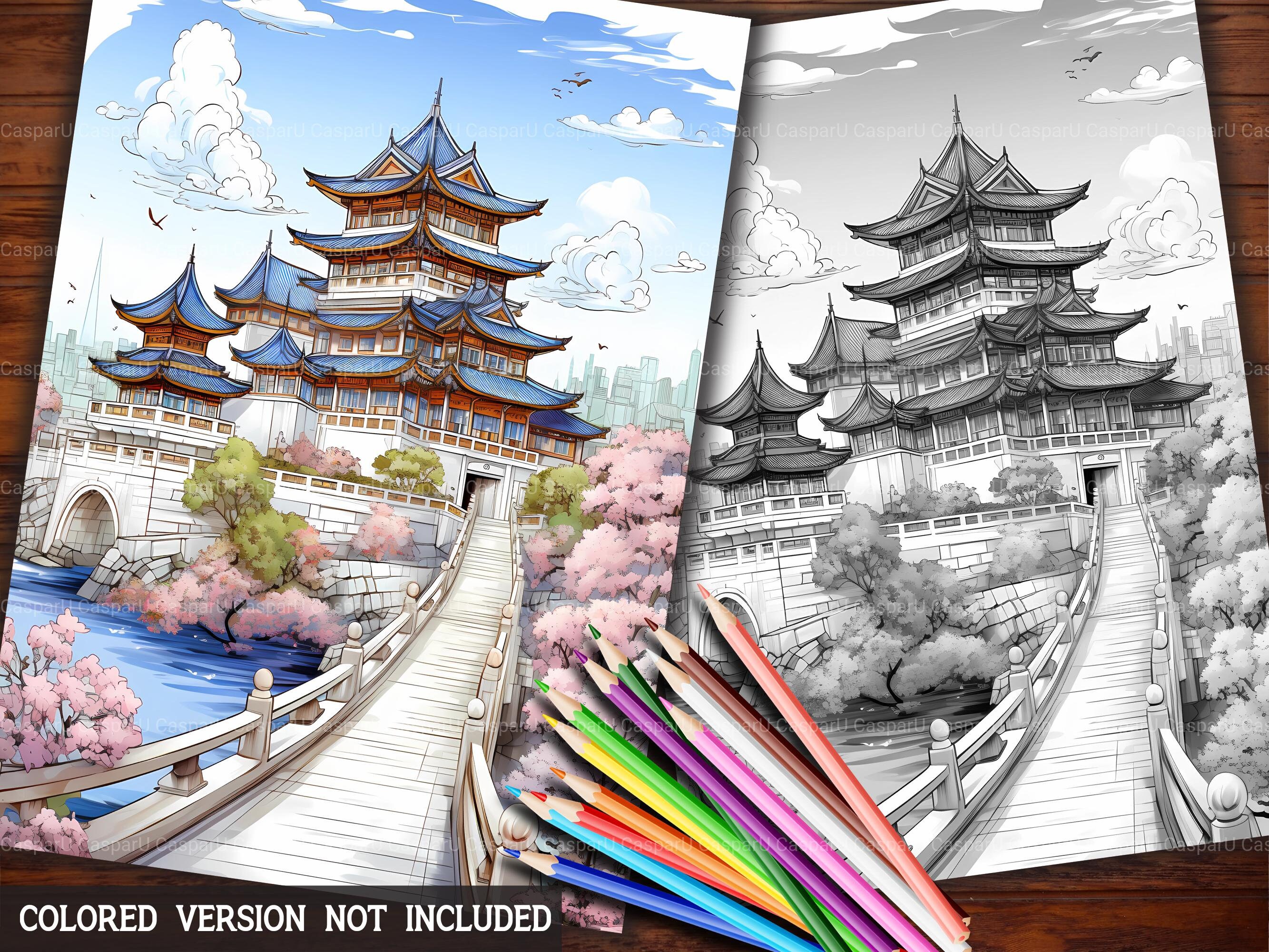 Asia Travel Coloring Pages for Adults and Kids 108 Geography Grayscale ...