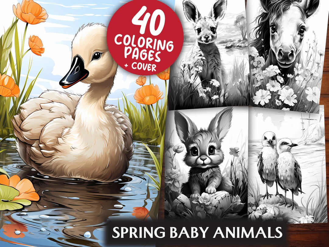 Spring Baby Animals Coloring Pages for Adults and Kids - 40 Spring ...