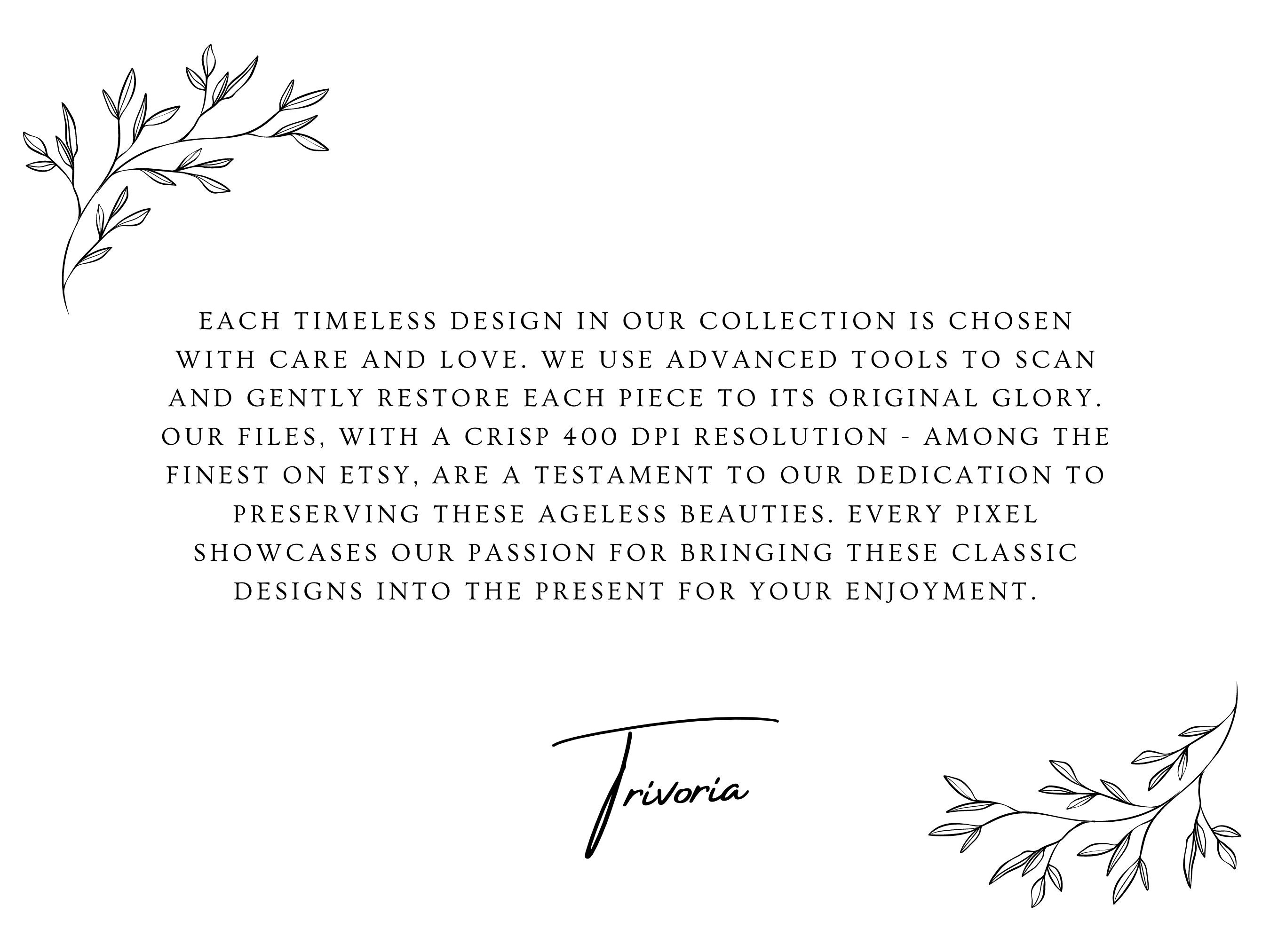 Medieval Illuminated Manuscript Border Vintage Papers Old Floral Frame ...