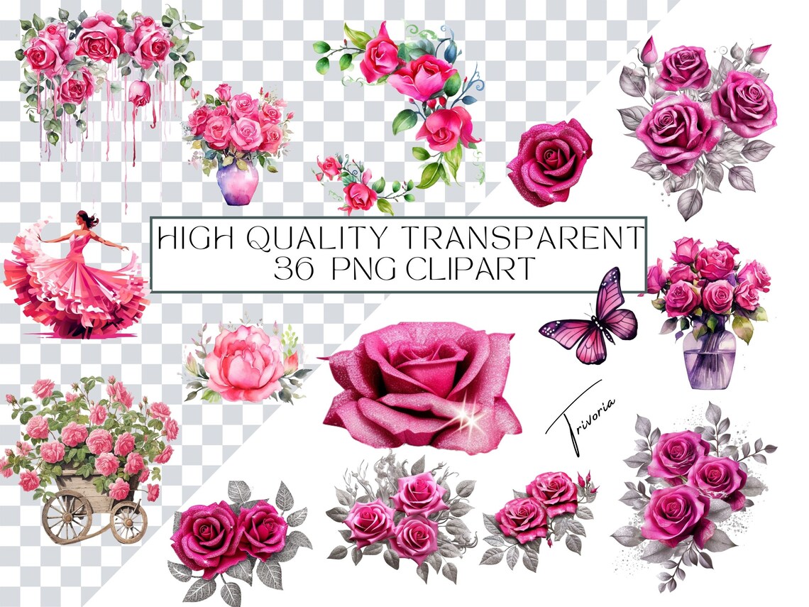 Hot Pink Rose Clipart Set 36 Transparent PNG Boho Watercolor - Etsy