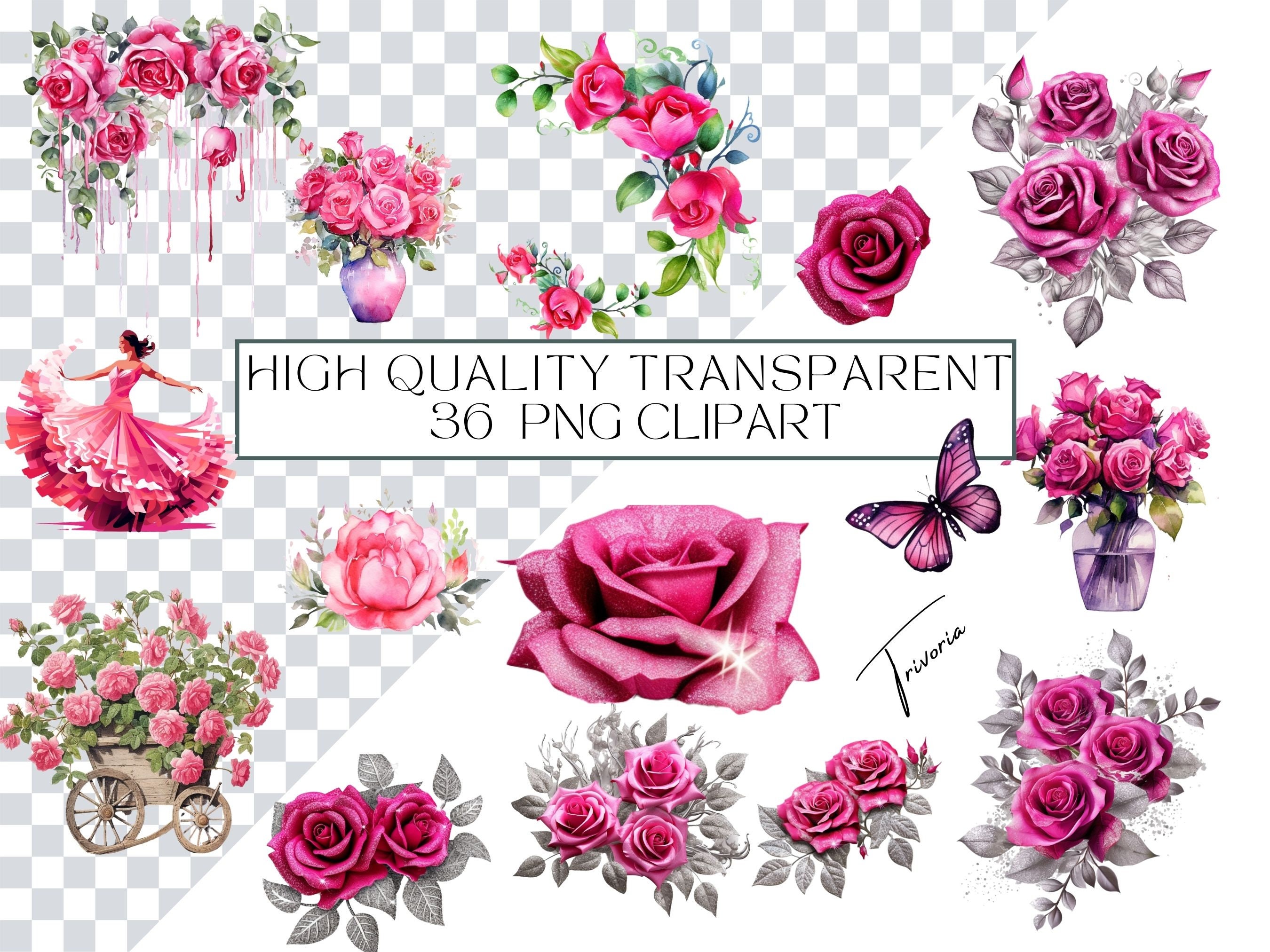 Hot Pink Rose Clipart Set, 36 Transparent PNG, Boho Watercolor Floral ...