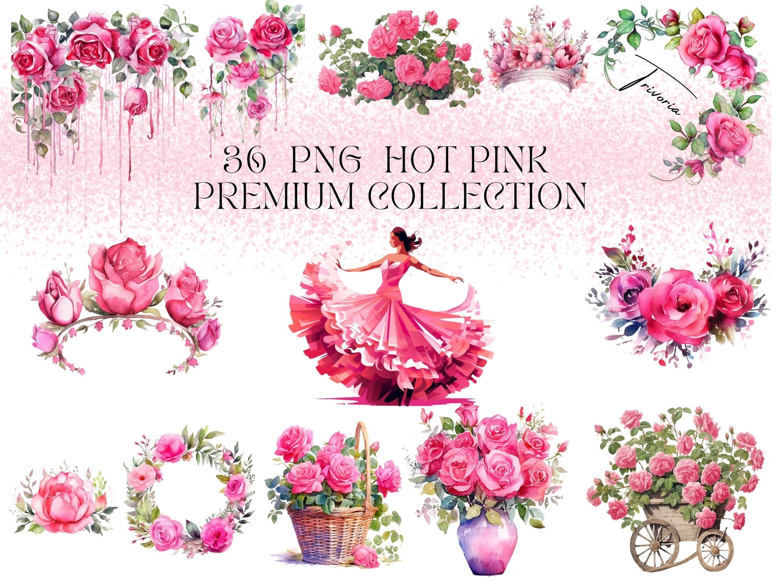 Hot Pink Rose Clipart Set 36 Transparent PNG Boho Watercolor - Etsy