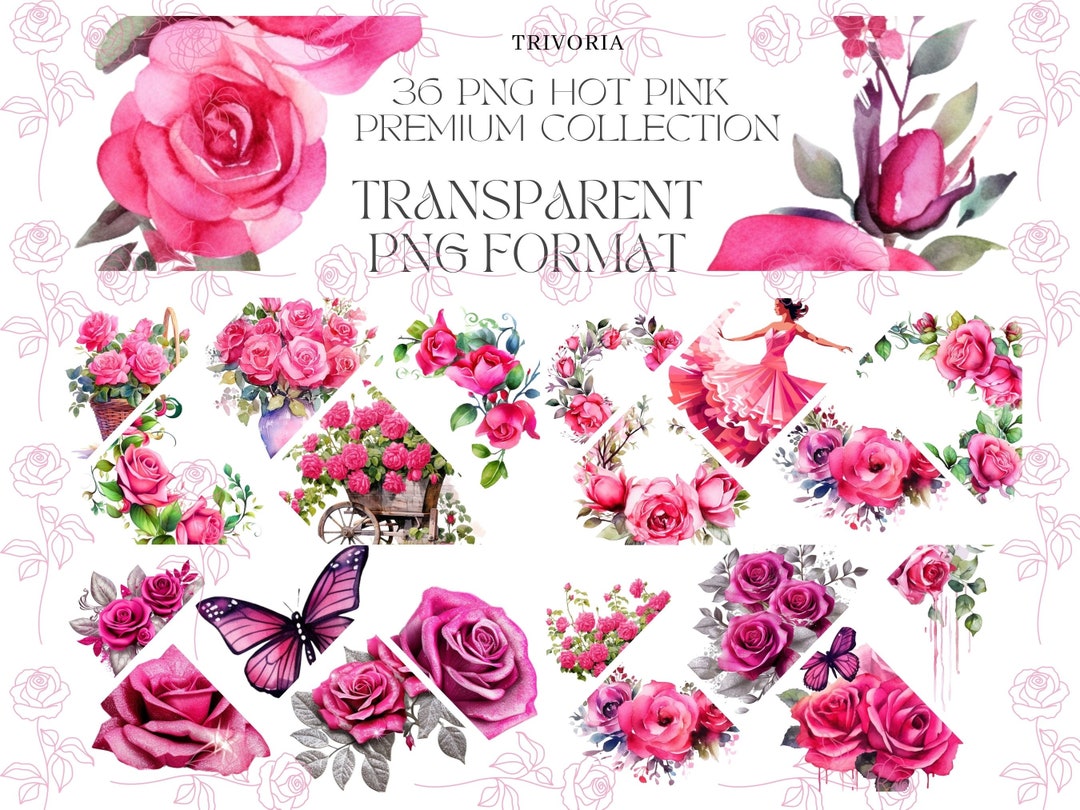 Hot Pink Rose Clipart Set, 36 Transparent PNG, Boho Watercolor Floral ...