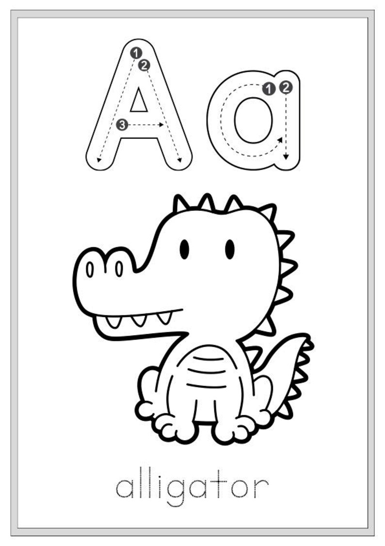 Animal Alphabet Tracing and Coloring Book - Etsy