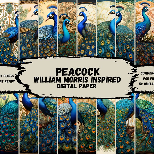 Peacock Papers - Etsy