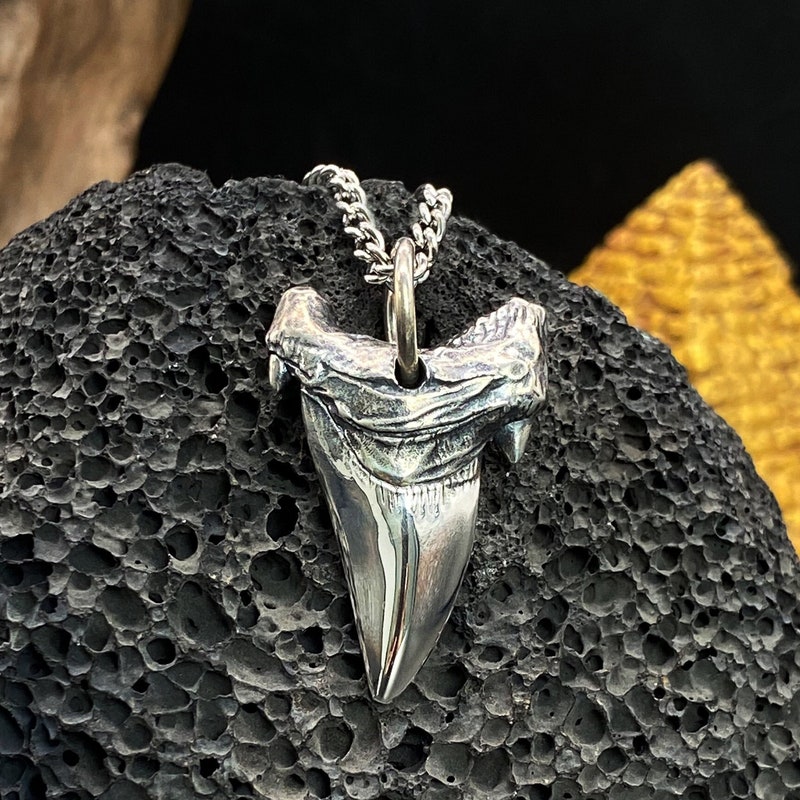 Shark Tooth Necklace - Etsy