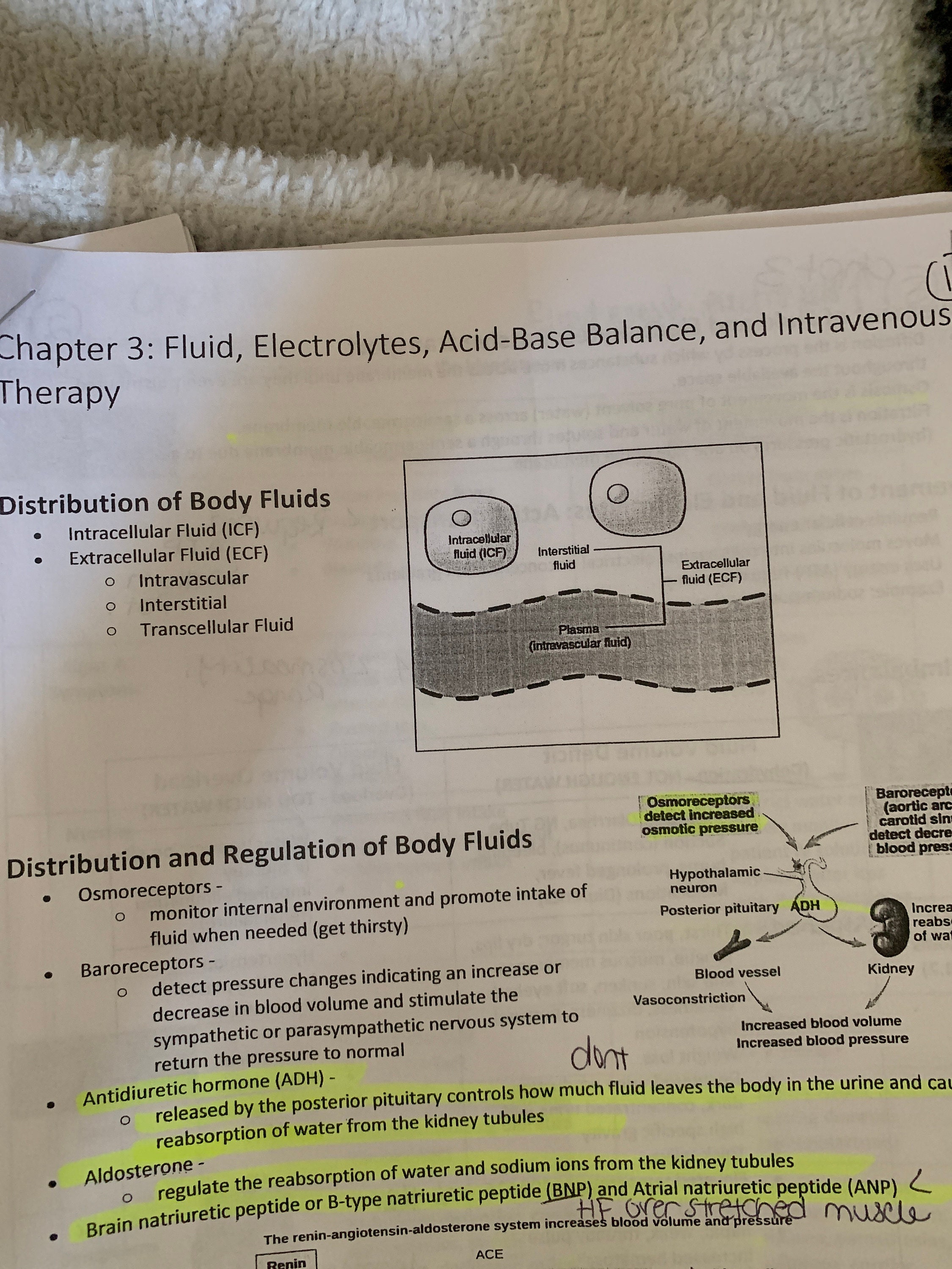 Galen College Nursing Notes - Etsy