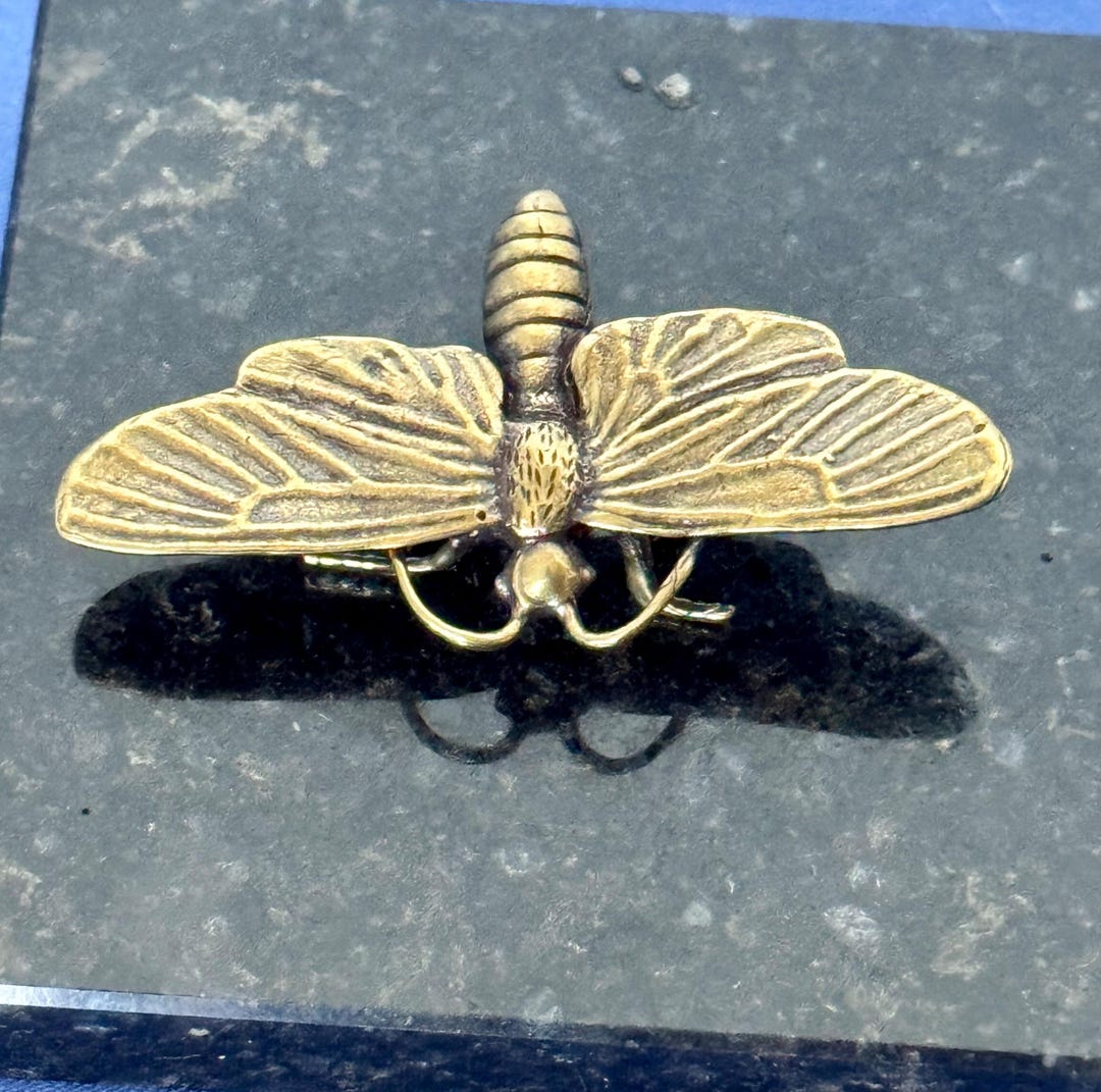 Brass Moth Tea Pet - Etsy