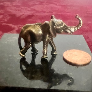 Brass African Elephant Tea Pet - Etsy