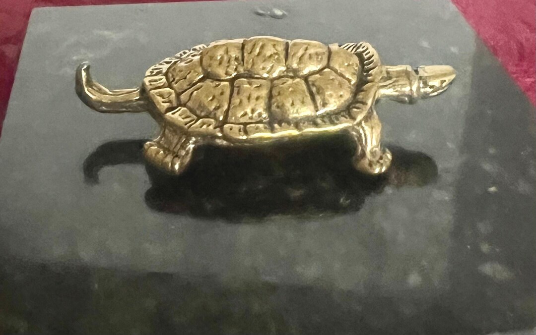 Brass Snapping Turtle Tea Pet (tail-up) - Etsy