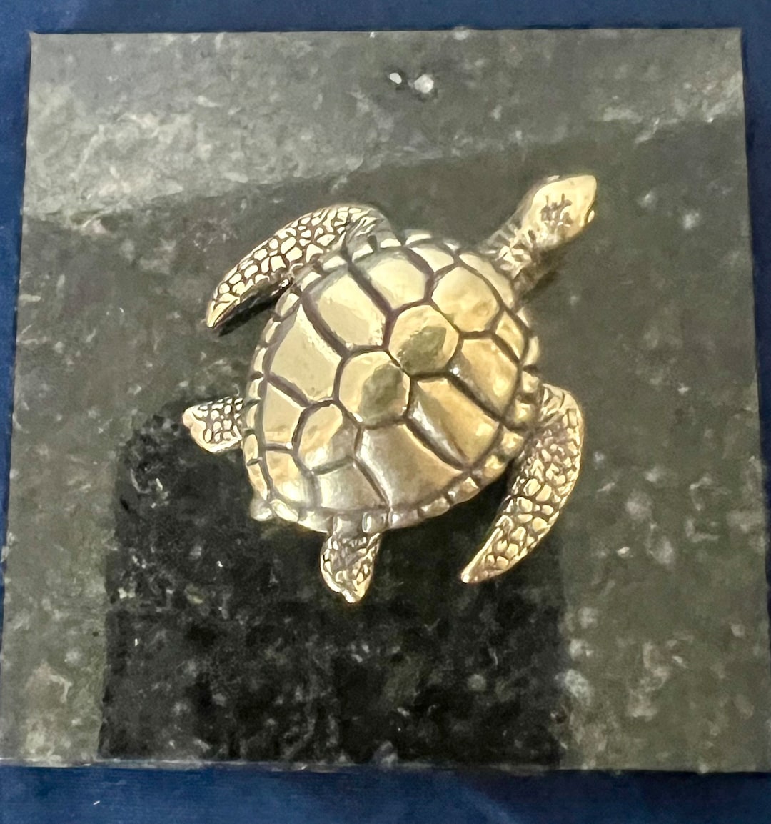 Brass Sea Turtle Tea Pet. - Etsy