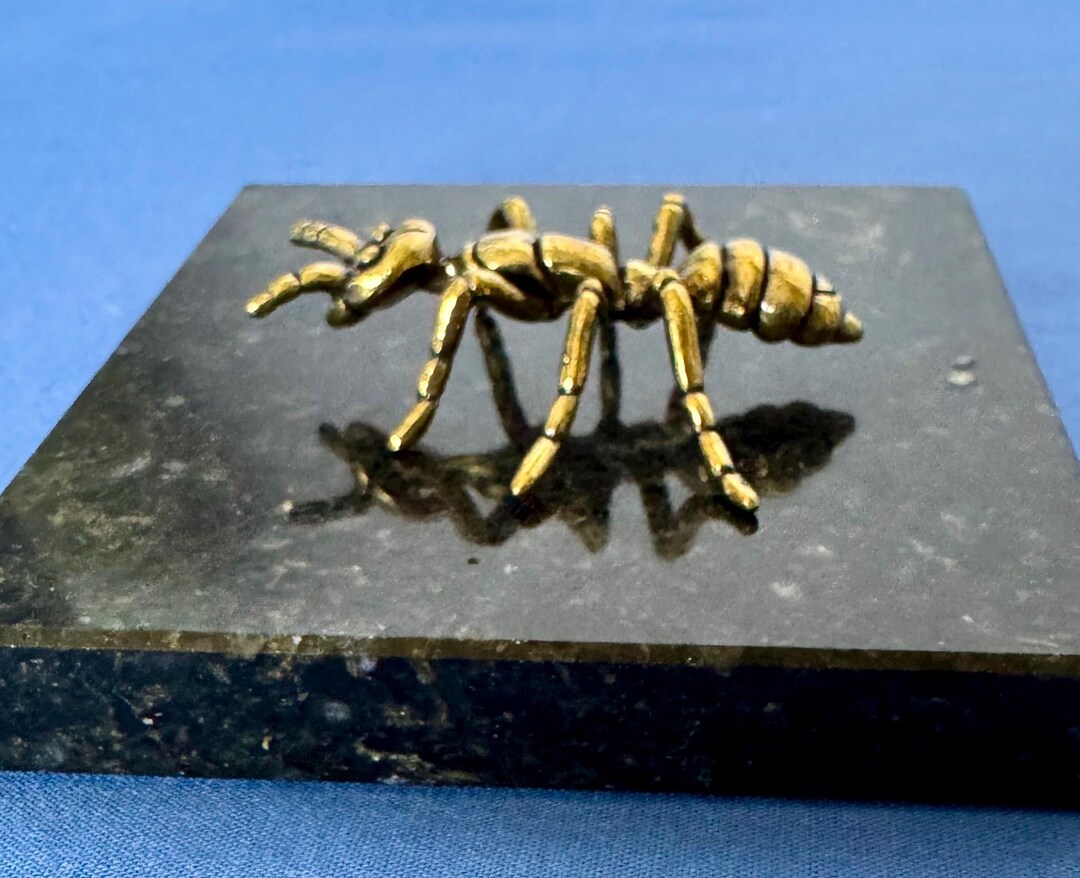 Brass Ant Tea Pet - Etsy