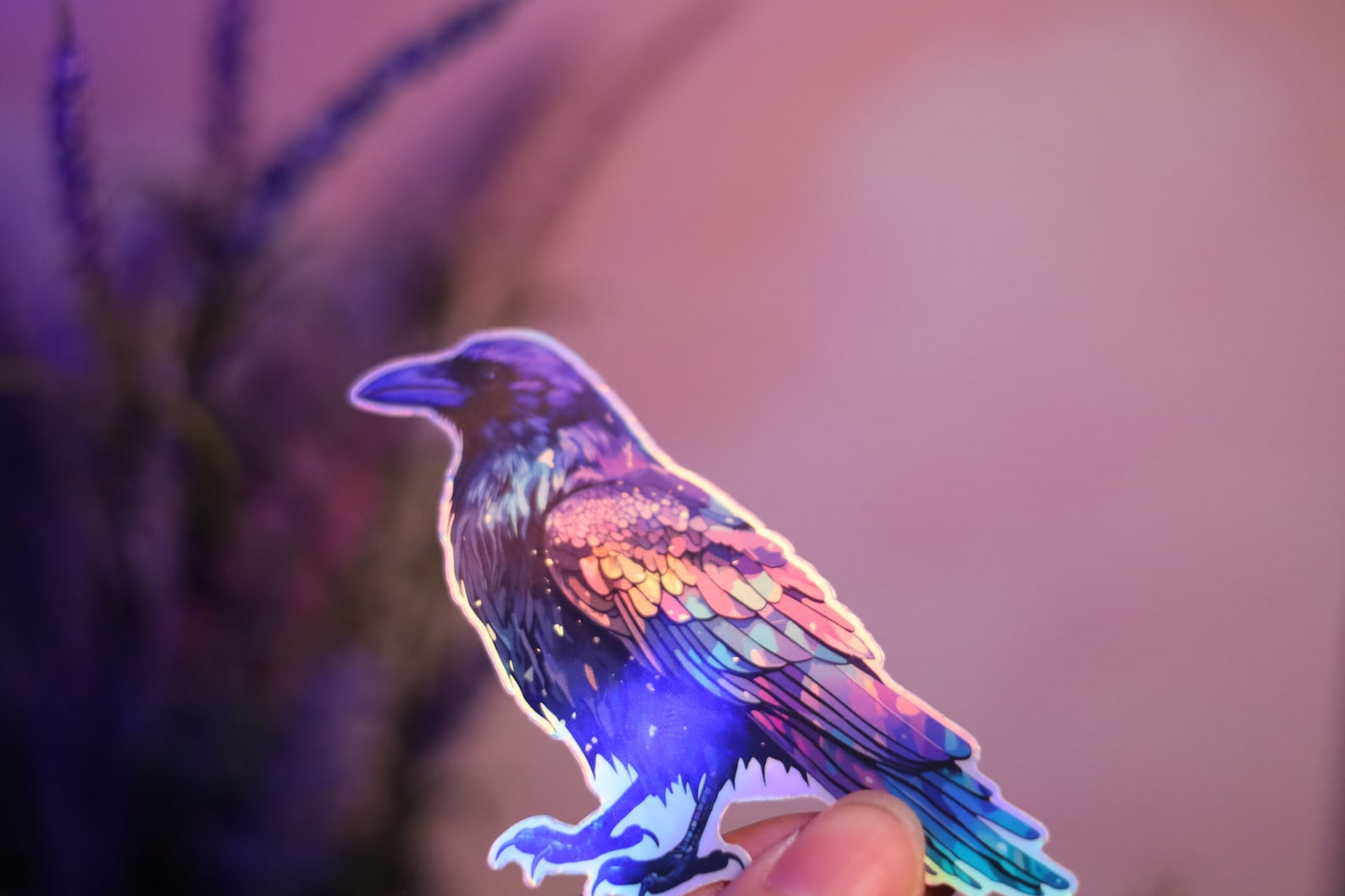 Holographic Raven Bird Sticker Rainbow Decal Laptop Hydro - Etsy