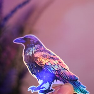 Holographic Raven Bird Sticker Rainbow Decal Laptop Hydro Crow Shiny ...
