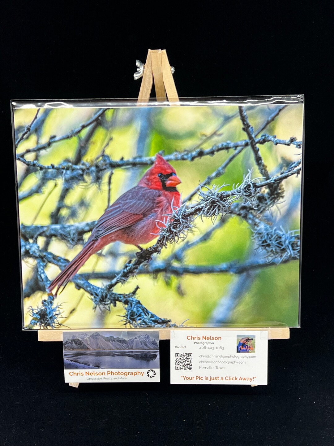 Cardinal Visit - Etsy