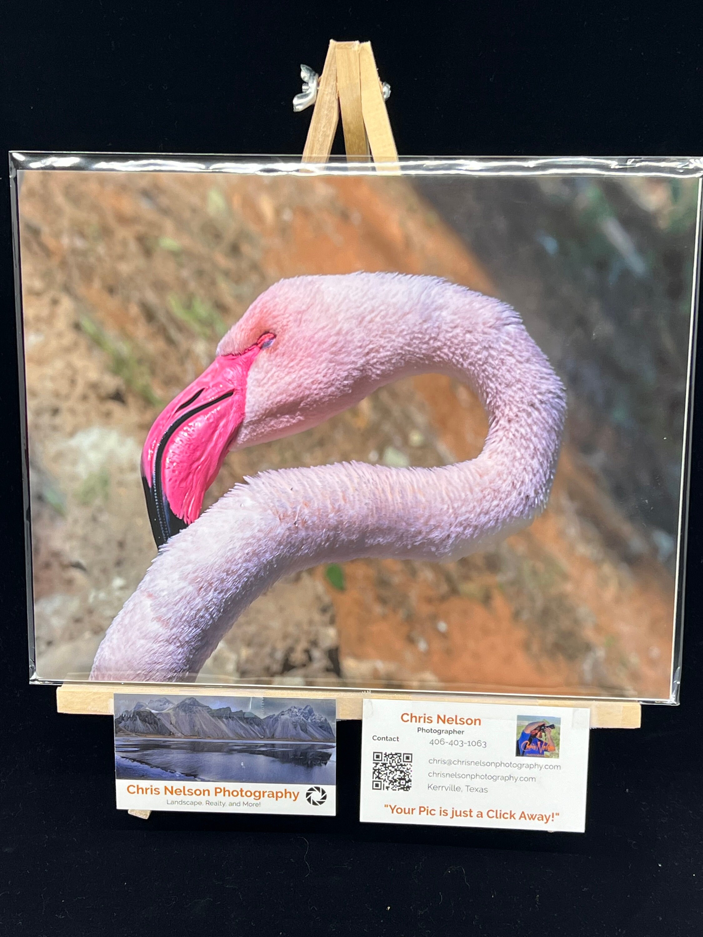 The Lazy S Curve - Etsy