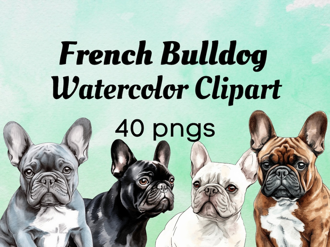 French Bulldog Clipart - 40 High Quality Pngs - Watercolor Dog Portrait ...