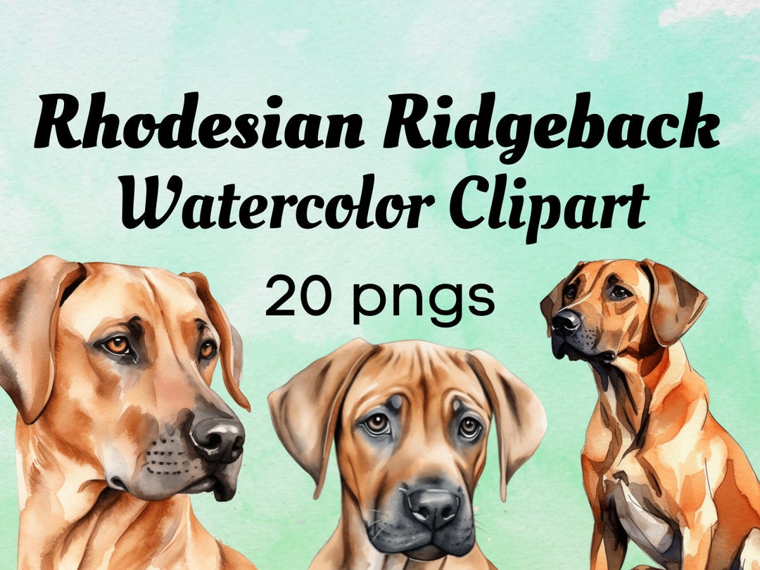Rhodesian Ridgeback Clipart - 20 High Quality Pngs - Watercolor Dog ...