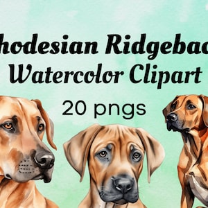 Rhodesian Ridgeback Clipart - 20 High Quality Pngs - Watercolor Dog ...