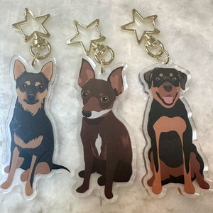Acrylic Keychains-dog Breeds and Cats - Etsy