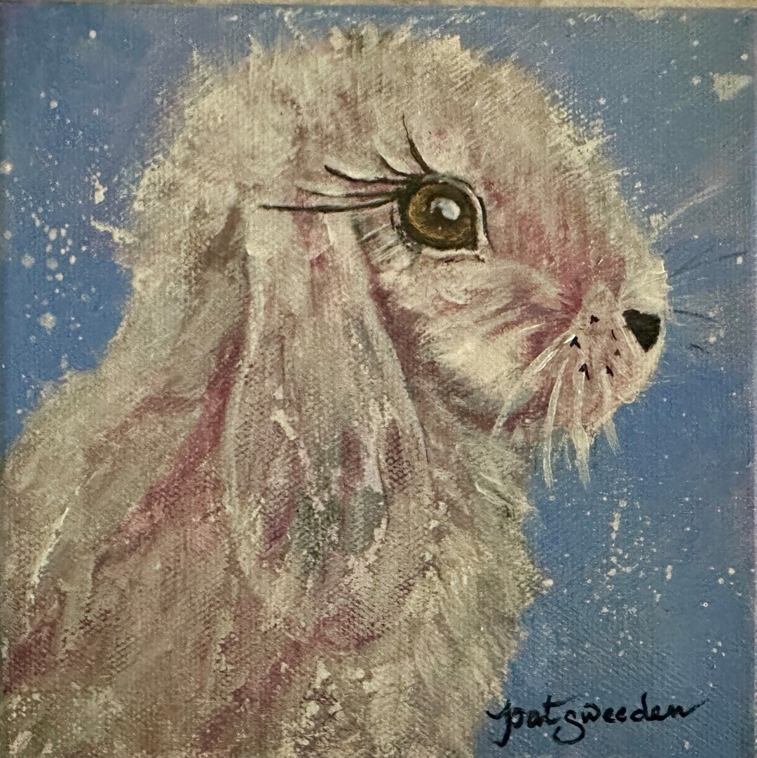 Bunny Splash 6x6x1.5 Original Acrylic on Canvas - Etsy