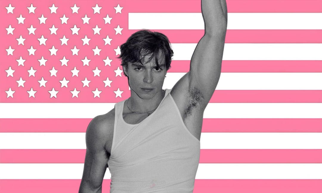 Pink Flag Aesthetic Velveteen Plush Blanket, Nicholas Alexander Chavez ...