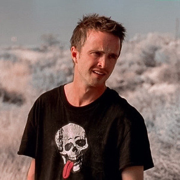 Jesse Pinkman Skull Shirt - Etsy
