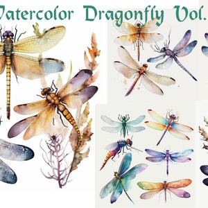 Watercolor Dragonfly Volume 4 Illustrations Clipart PNG Fantasy Art Magic Watercolors Insect PNG ...