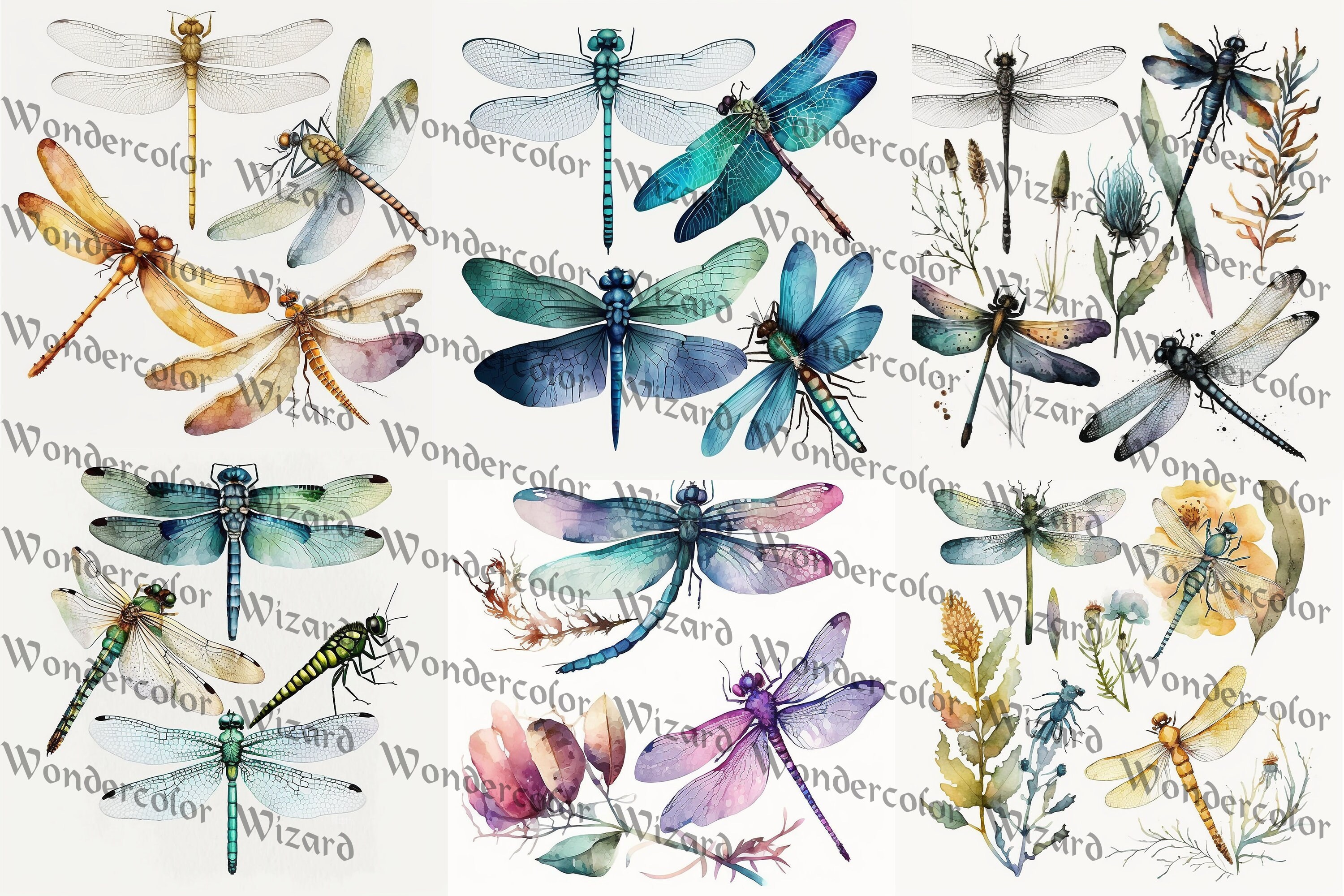 Watercolor Dragonfly Volume 3 Illustrations Clipart PNG Fantasy Art Magic Watercolors Insect PNG ...