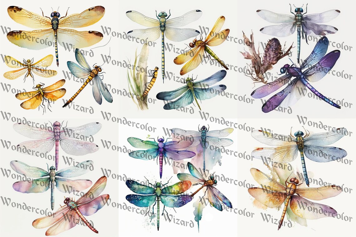 Watercolor Dragonfly Volume 4 Illustrations Clipart PNG Fantasy Art Magic Watercolors Insect PNG ...