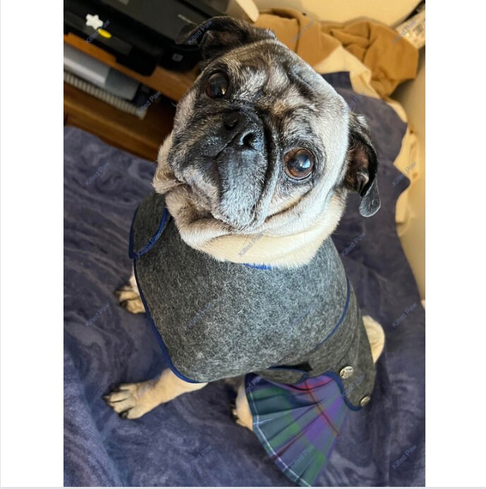 Dog Kilt Custom Small and Medium Breeds Back Length SIZE 8-18 Inches ...