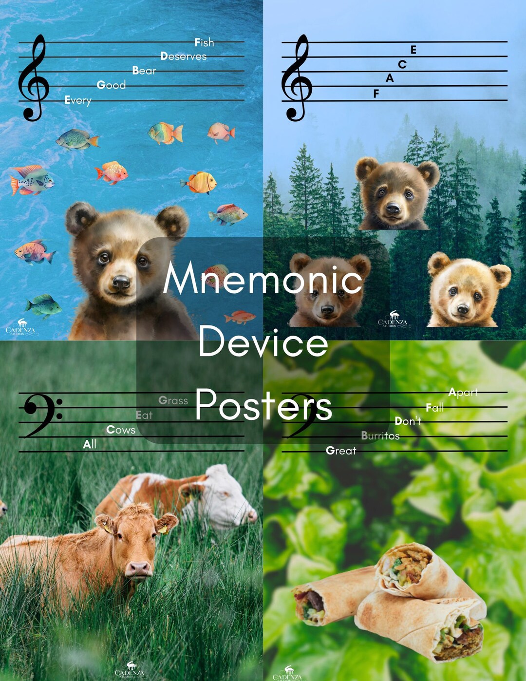 Music Staff Mnemonic Devices - Etsy