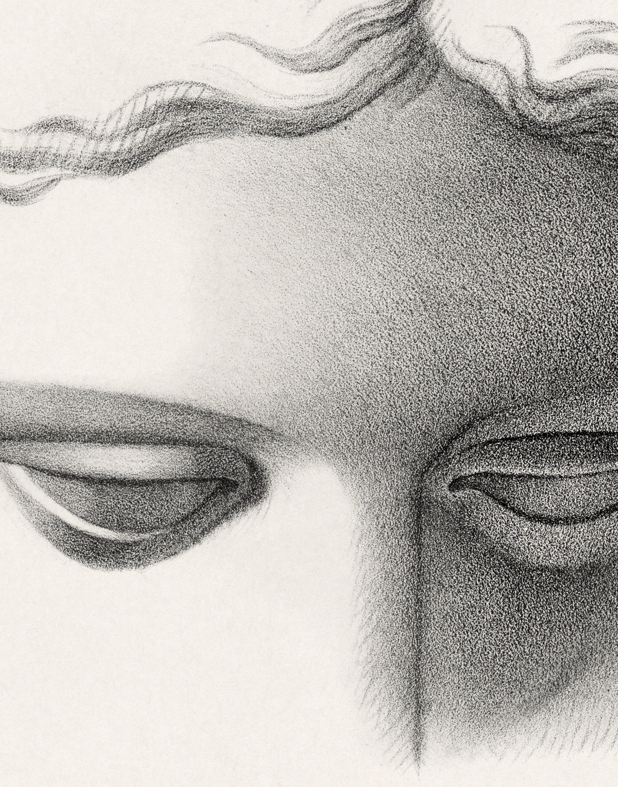 Study of a Vintage Greek Statue Drawing - High Resolution Sketch ...