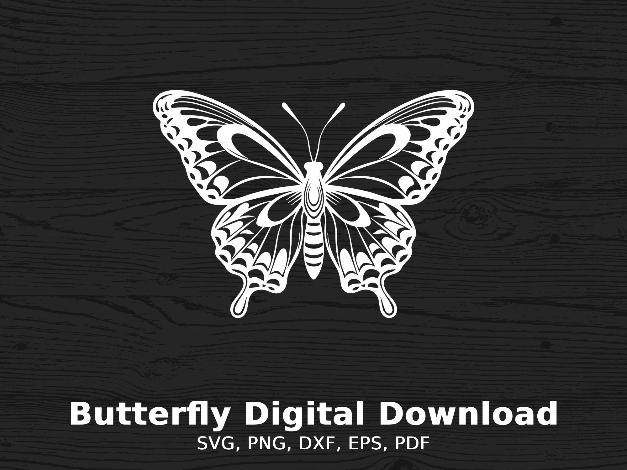 Beautiful Butterfly SVG Digital Download: Get Creative With - Etsy