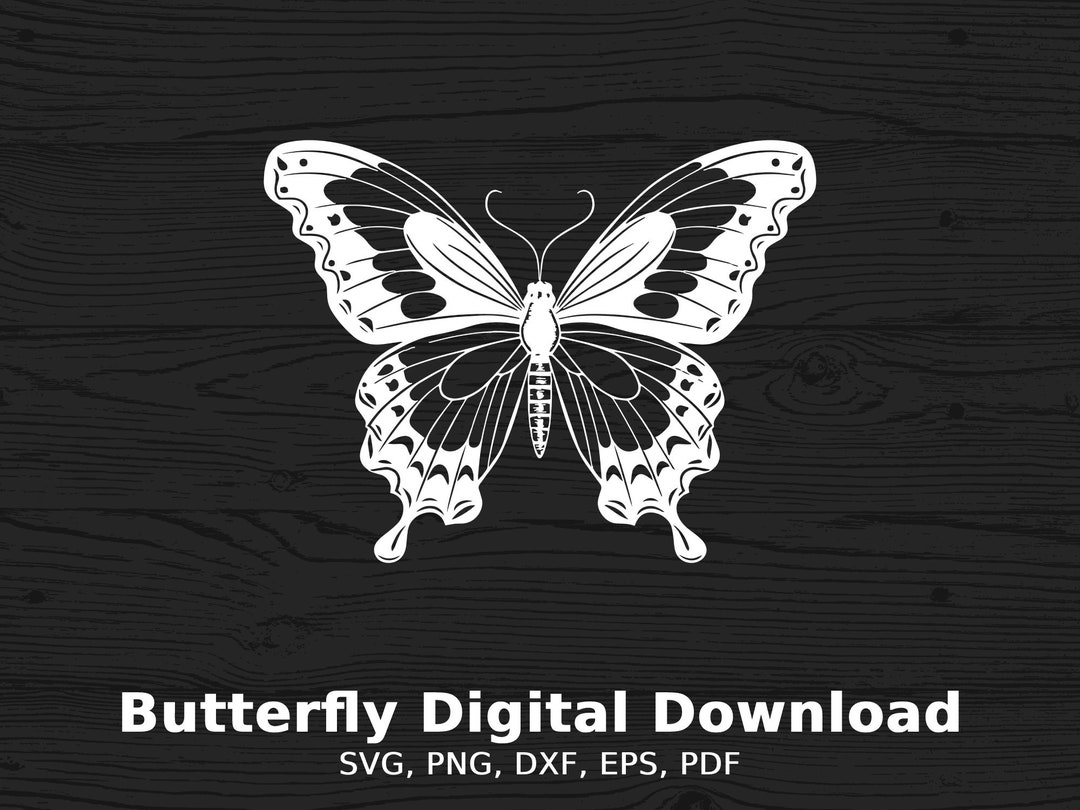 Beautiful Butterfly SVG Digital Download: Get Creative With Our ...